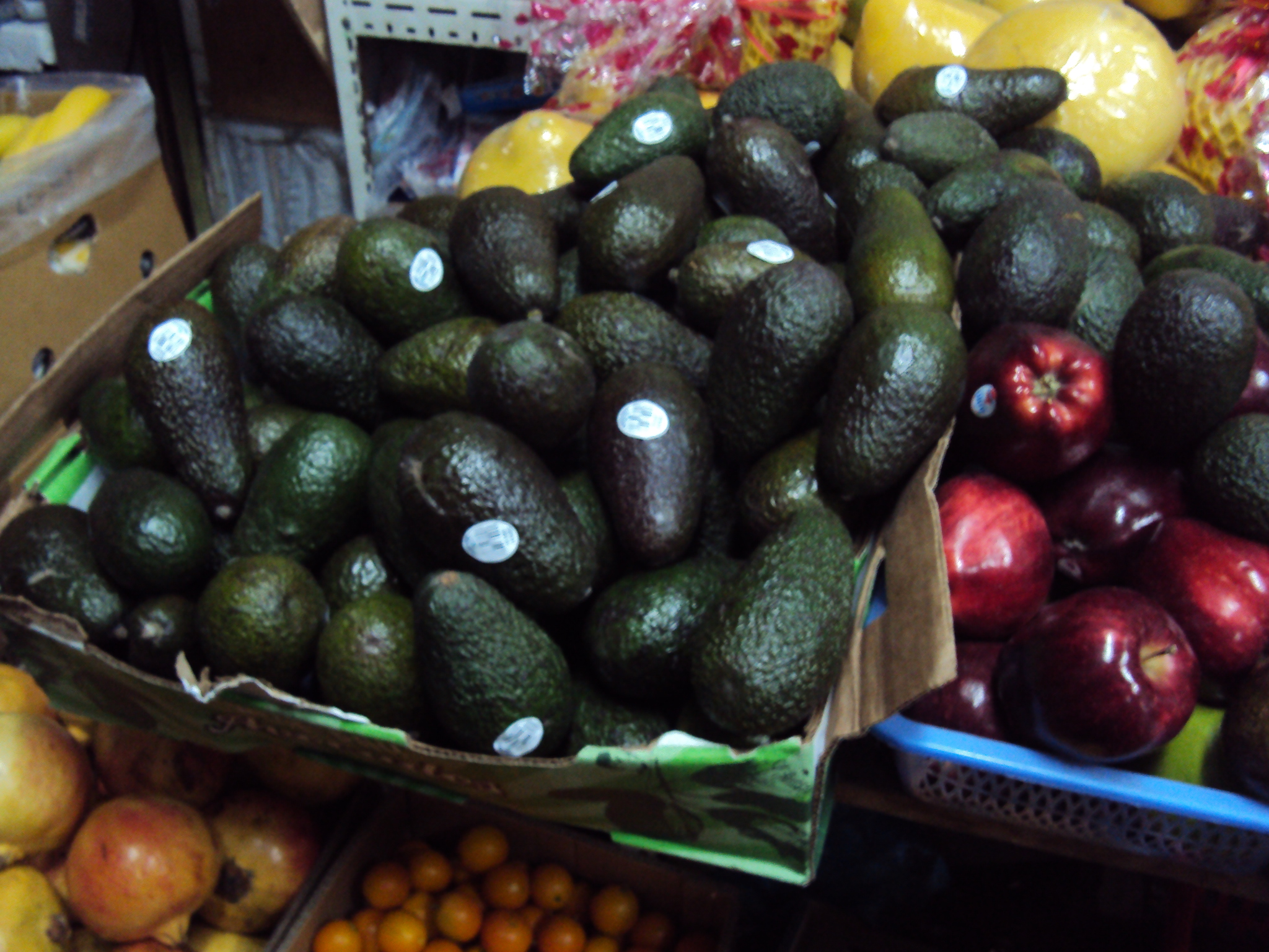 The Avocado Lady – Shanghai Pathways Blog