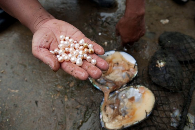 Story of Chinese Freshwater Pearls – Shanghai Pathways Blog